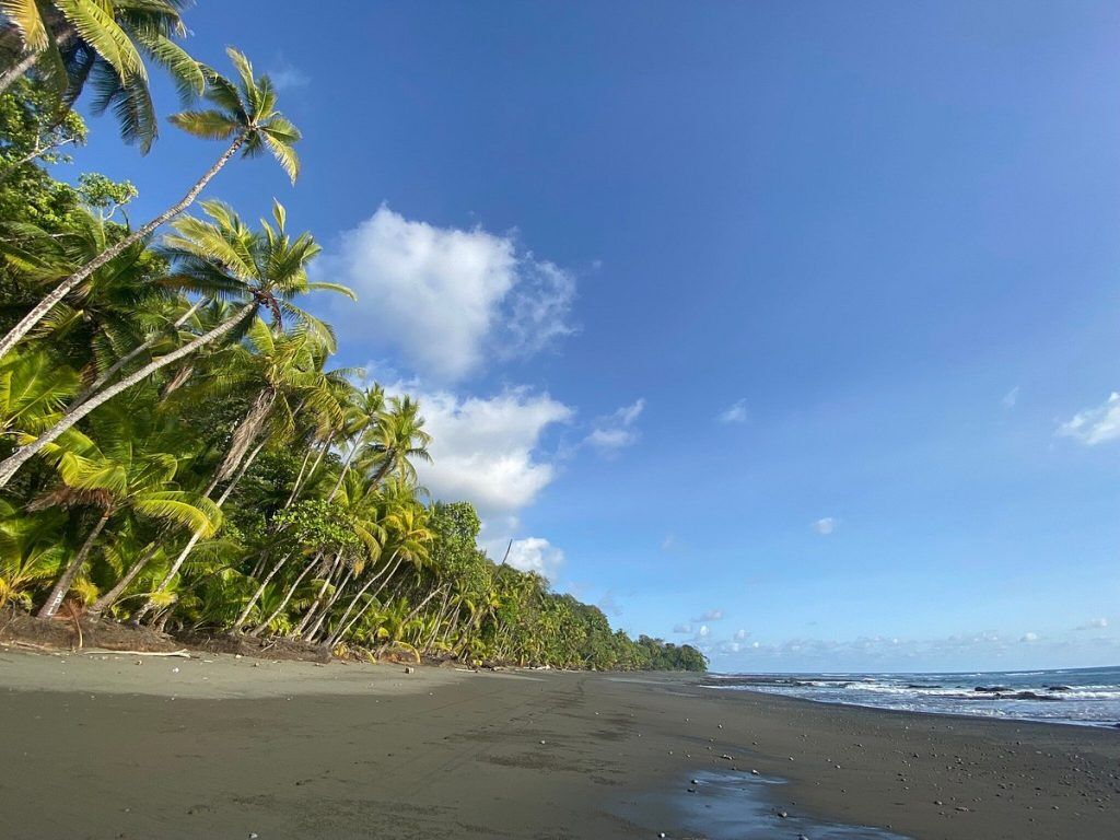 39 Beautiful Beaches with Black Sand in the US and Beyond